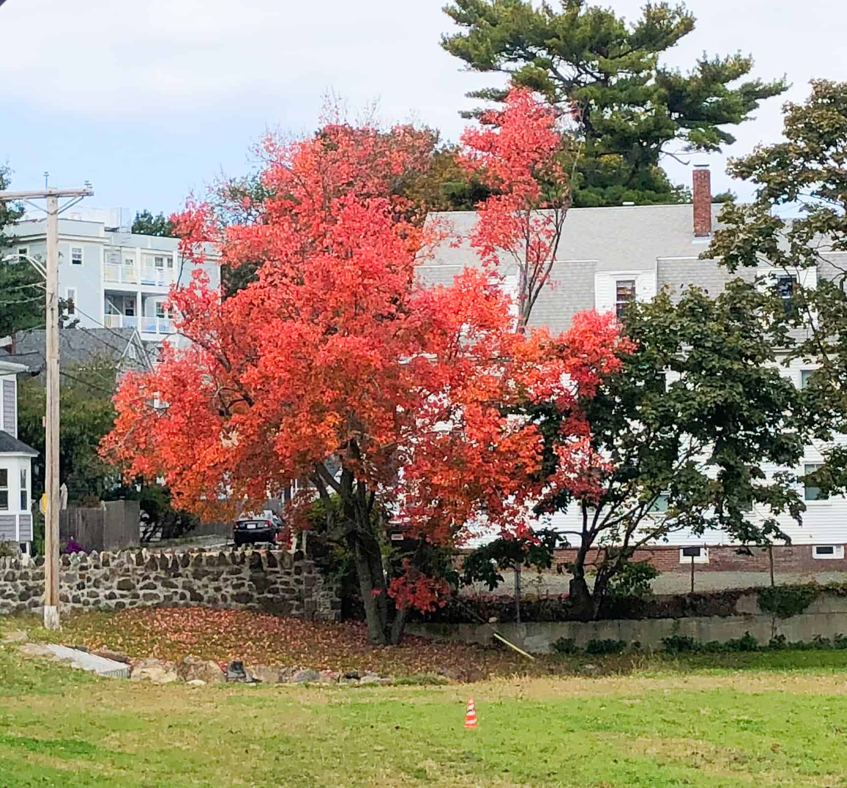Tour of the "Hocus Pocus" Filming Sites - Fearless DIY