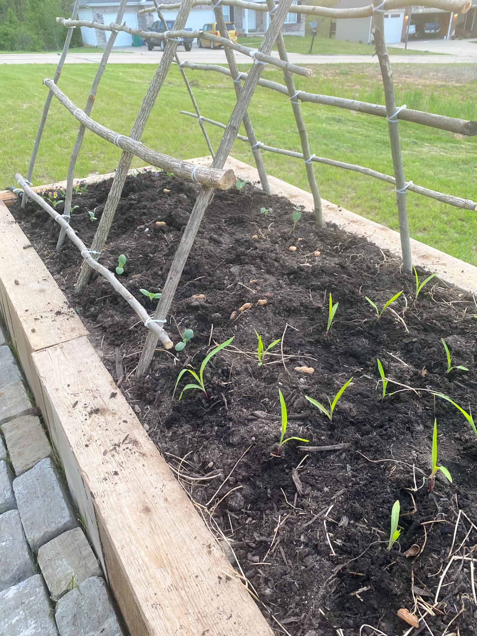 Raised Garden Bed-Hugelkulture - Fearless DIY